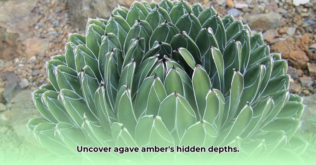 Unlock Agave Amber's Secrets: A Comprehensive Guide - Happily Live
