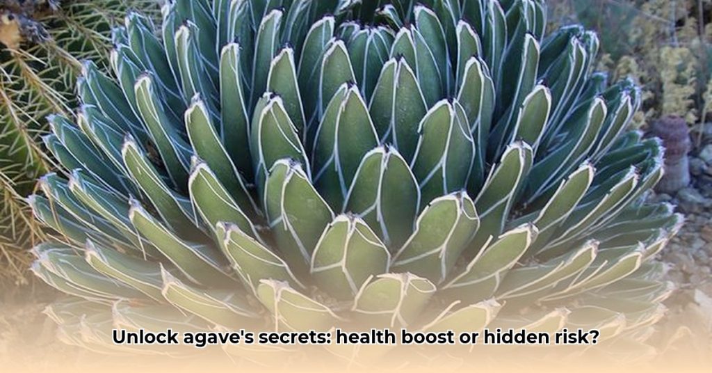 Discover Agave Fruit: Health Benefits, Risks & Uses - Happily Live